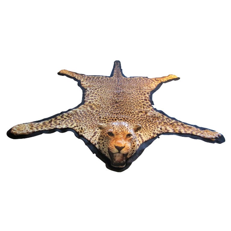 Vintage Leopard skin rug mount at 1stDibs | men in black aliens coffee ...