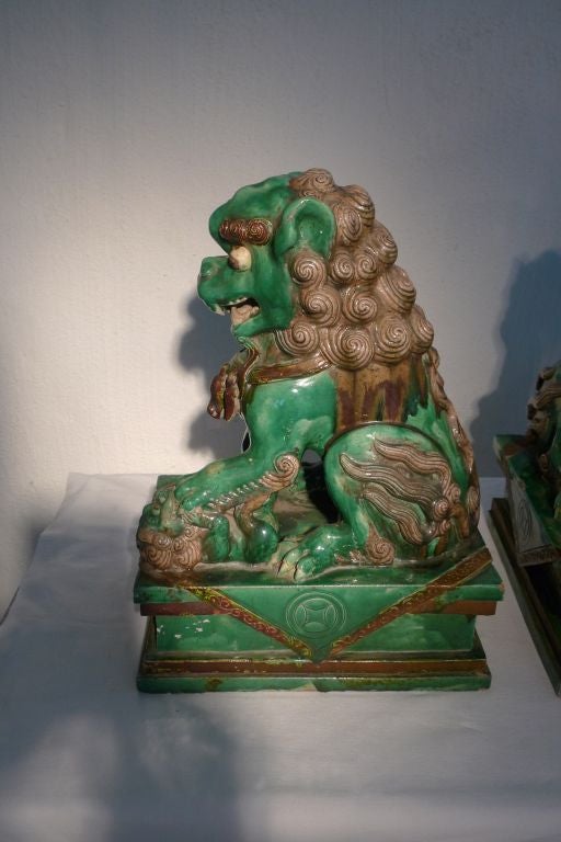 Pair of Ming Fu Dogs For Sale at 1stDibs