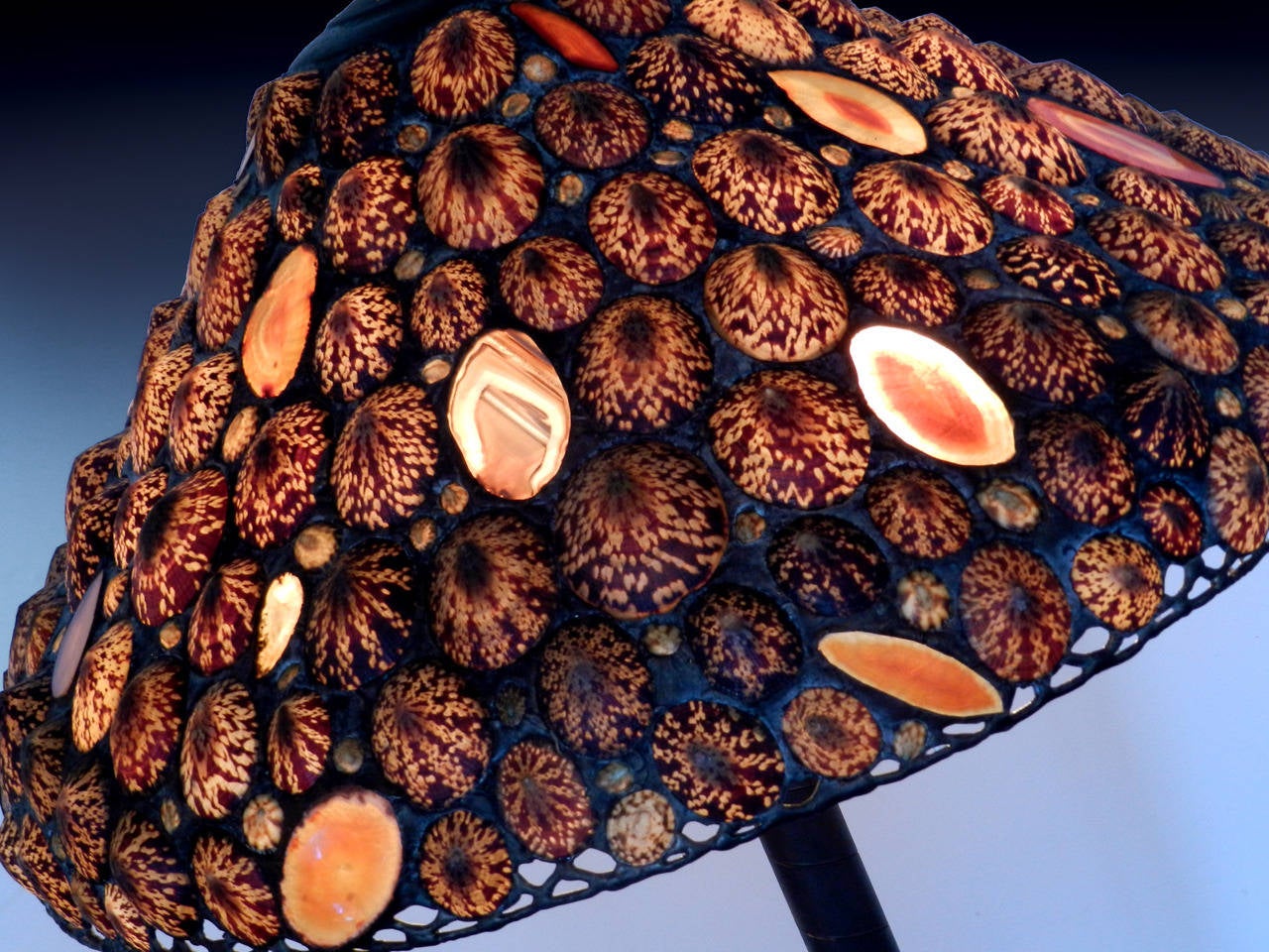 Beautiful Sea Shell and Agate Floor Lamp at 1stDibs