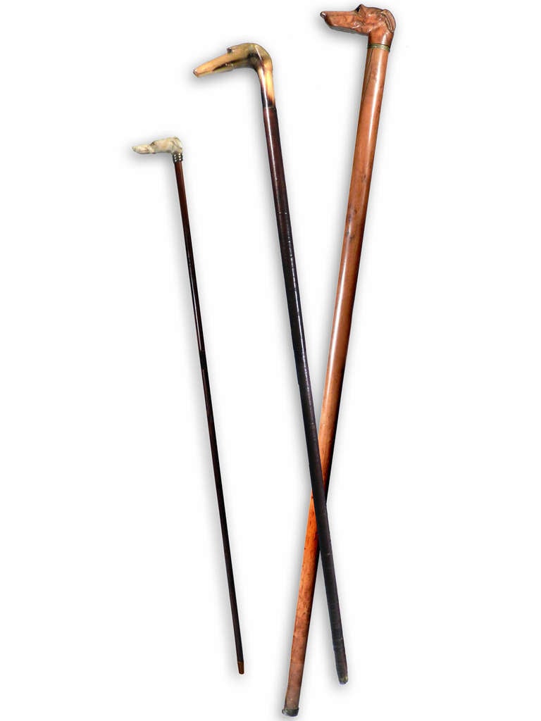 Collection of Dog Head Walking Sticks - Collection of Three at 1stDibs