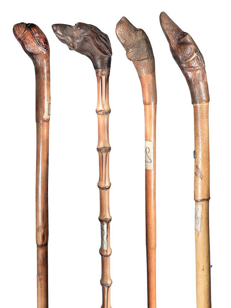 Dog Head Walking Sticks - Collection of Four at 1stDibs