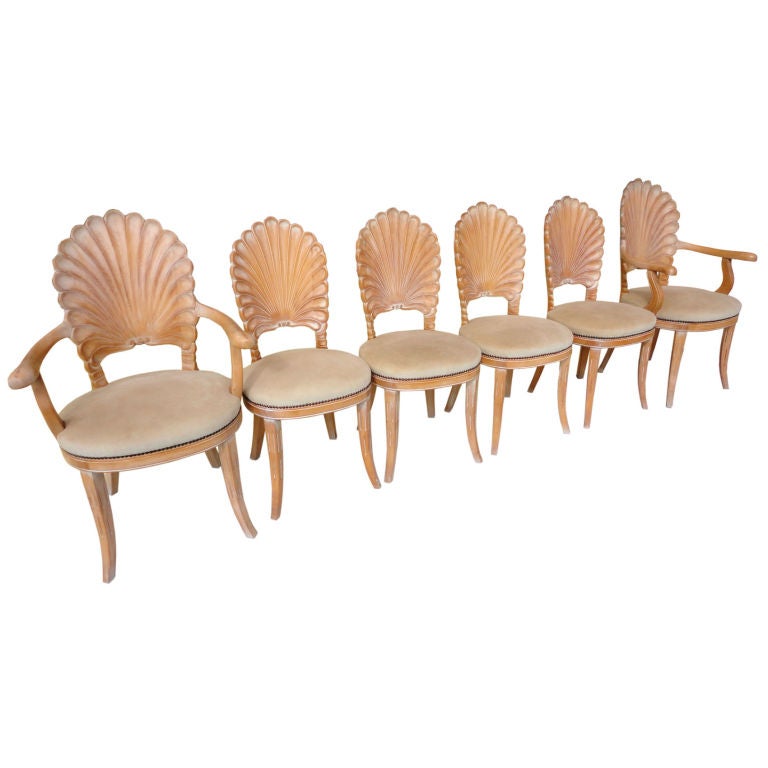 6 SHELL back Chairs at 1stDibs