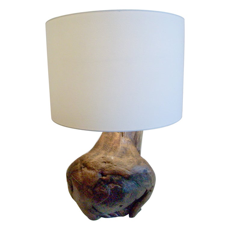 Hardwood Root Lamp at 1stDibs