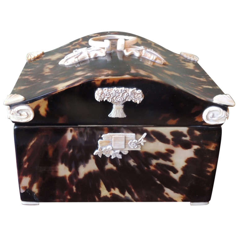 Tortoise Shell Jewelry Box with Ivory Detailing at 1stDibs