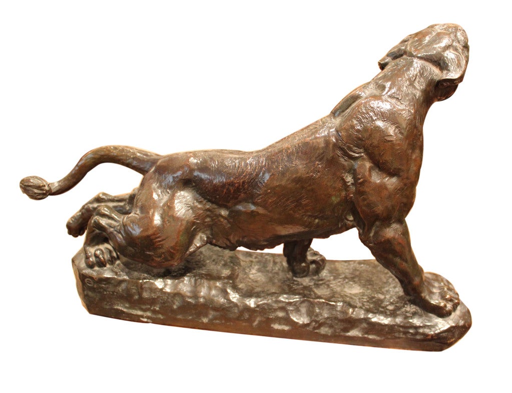 French Bronze Lioness by Charles Valton For Sale at 1stDibs