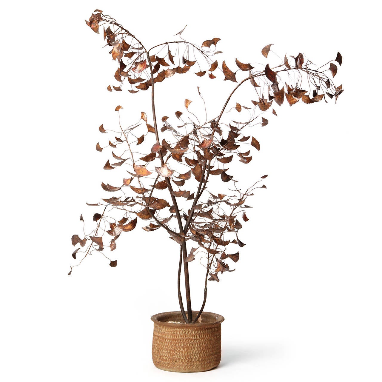 Amazing Life-Size Gingko Tree Sculpture For Sale at 1stDibs