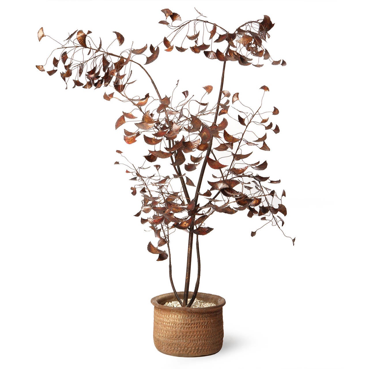 Amazing Life-Size Gingko Tree Sculpture For Sale at 1stDibs