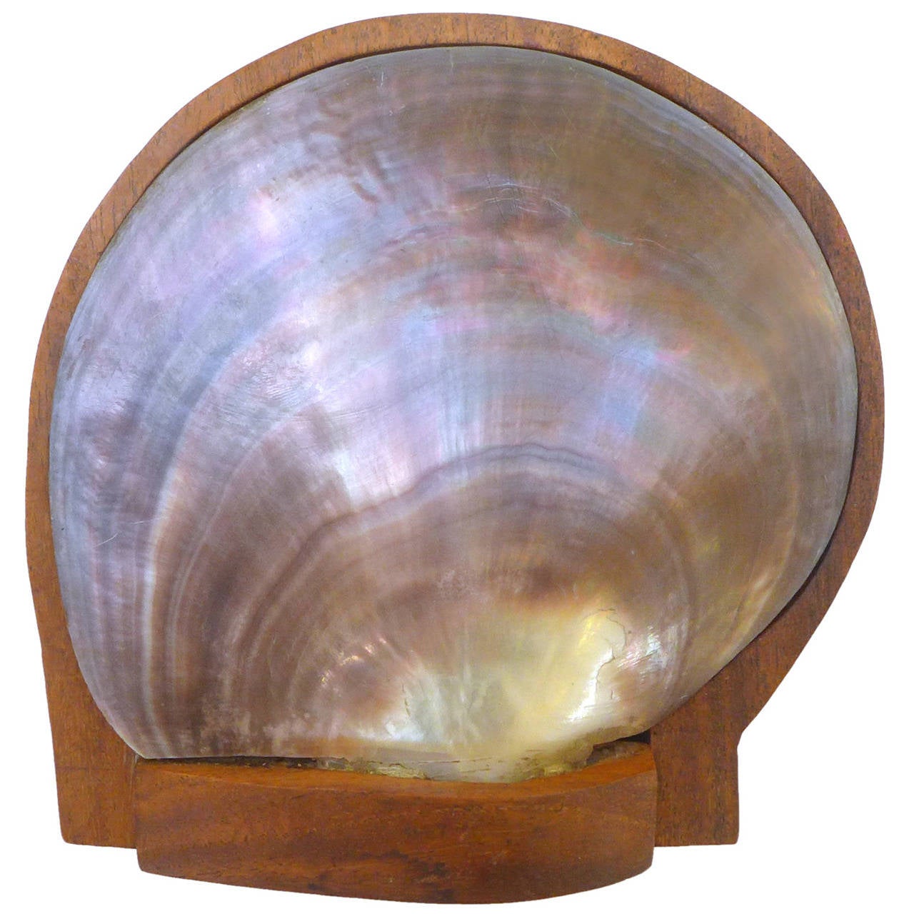 Shell Hinge-Lidded Wood Box attributed to Alexandre Noll For Sale at ...