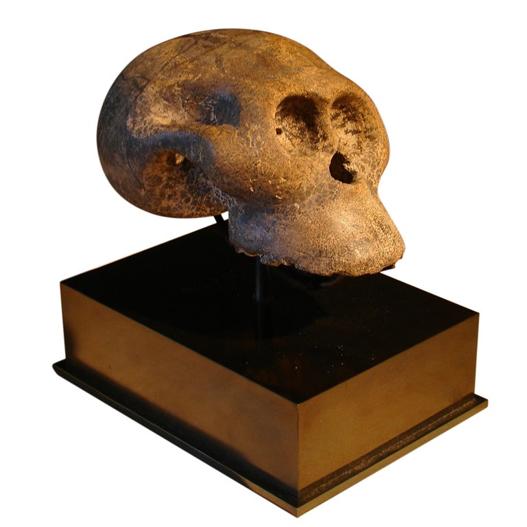 A Carved Stone Skull at 1stDibs
