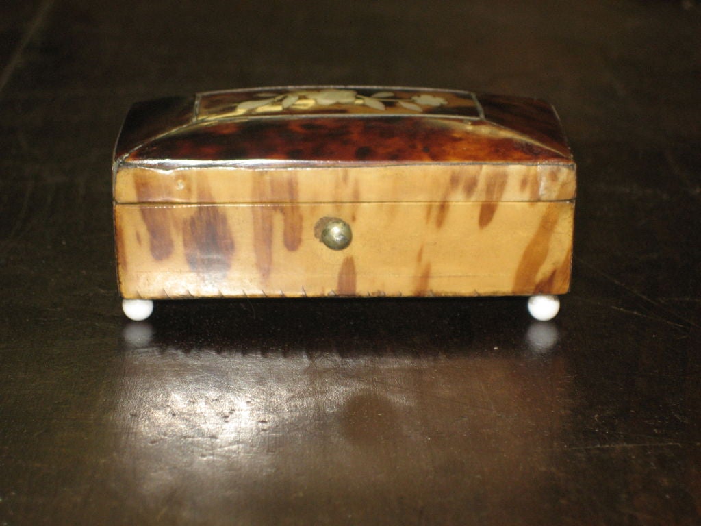 Tortoise Shell Box at 1stDibs