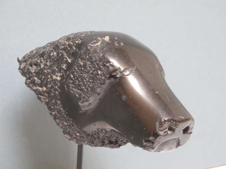 Anthracite Coal Carved Dog's Head at 1stDibs | coal carvings for sale ...