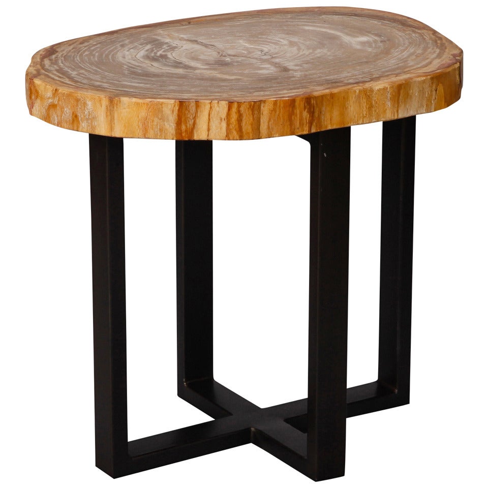 Small Side Table with Petrified Wood Top and Metal Legs at 1stDibs ...