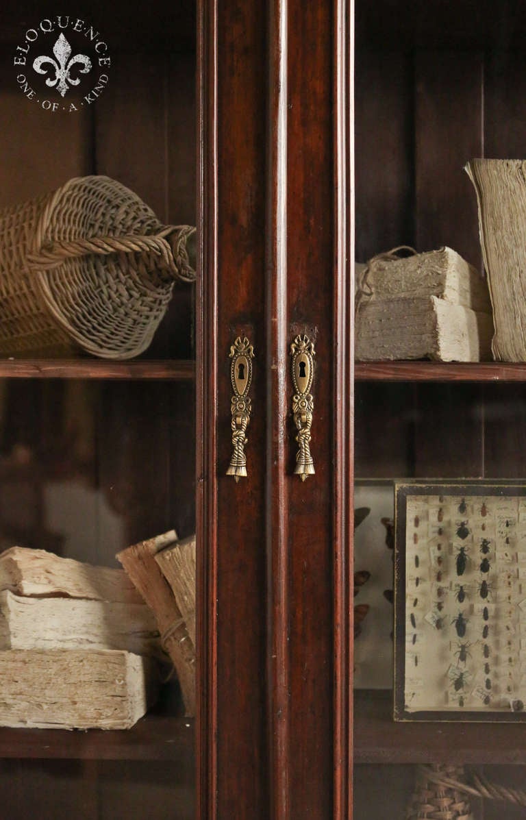 Vintage Display Case at 1stDibs