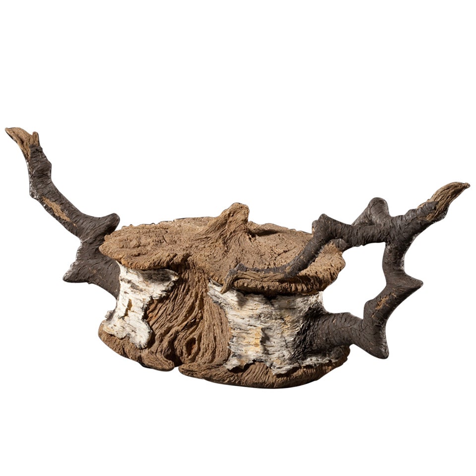 Ceramic Trompe L'oeil Black Branch Birch Stump Teapot By Eric ...
