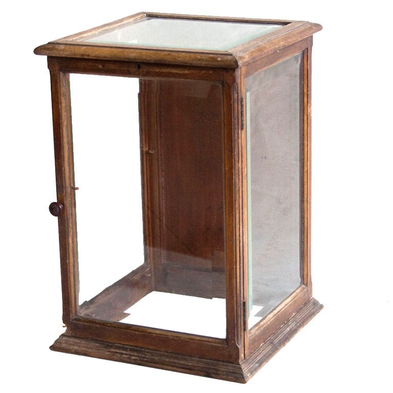 Antique Mahogany Display Case at 1stDibs