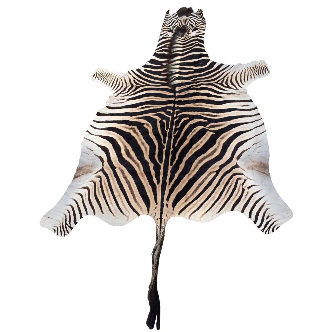 Zebra Hide at 1stDibs