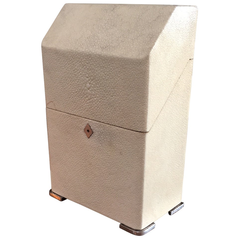 Vertical Shagreen Box with Sterling Silver Feet at 1stDibs