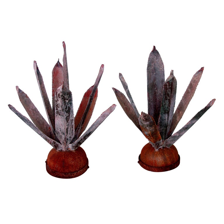 Cut Metal Agave Sculptures at 1stDibs