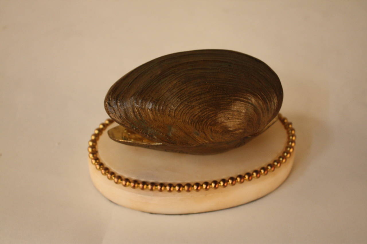 Baby Sleeping in Giant Clam Shell by A Velu at 1stDibs