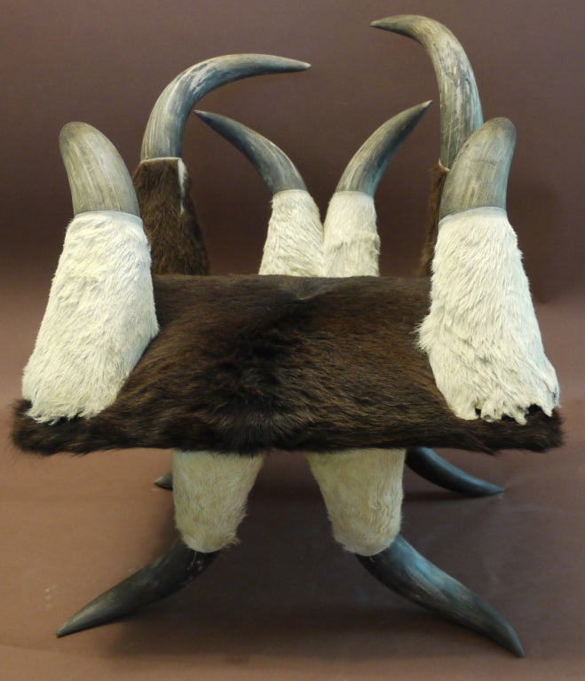 Bull horn chair vintage at 1stDibs