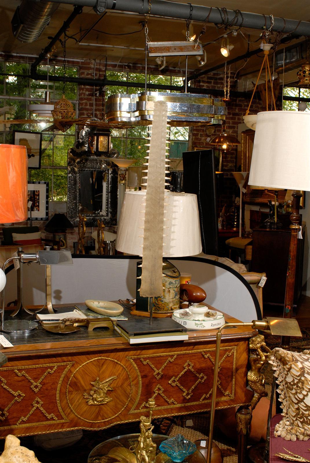 Mounted 19th Century Sawfish Rostrum at 1stDibs