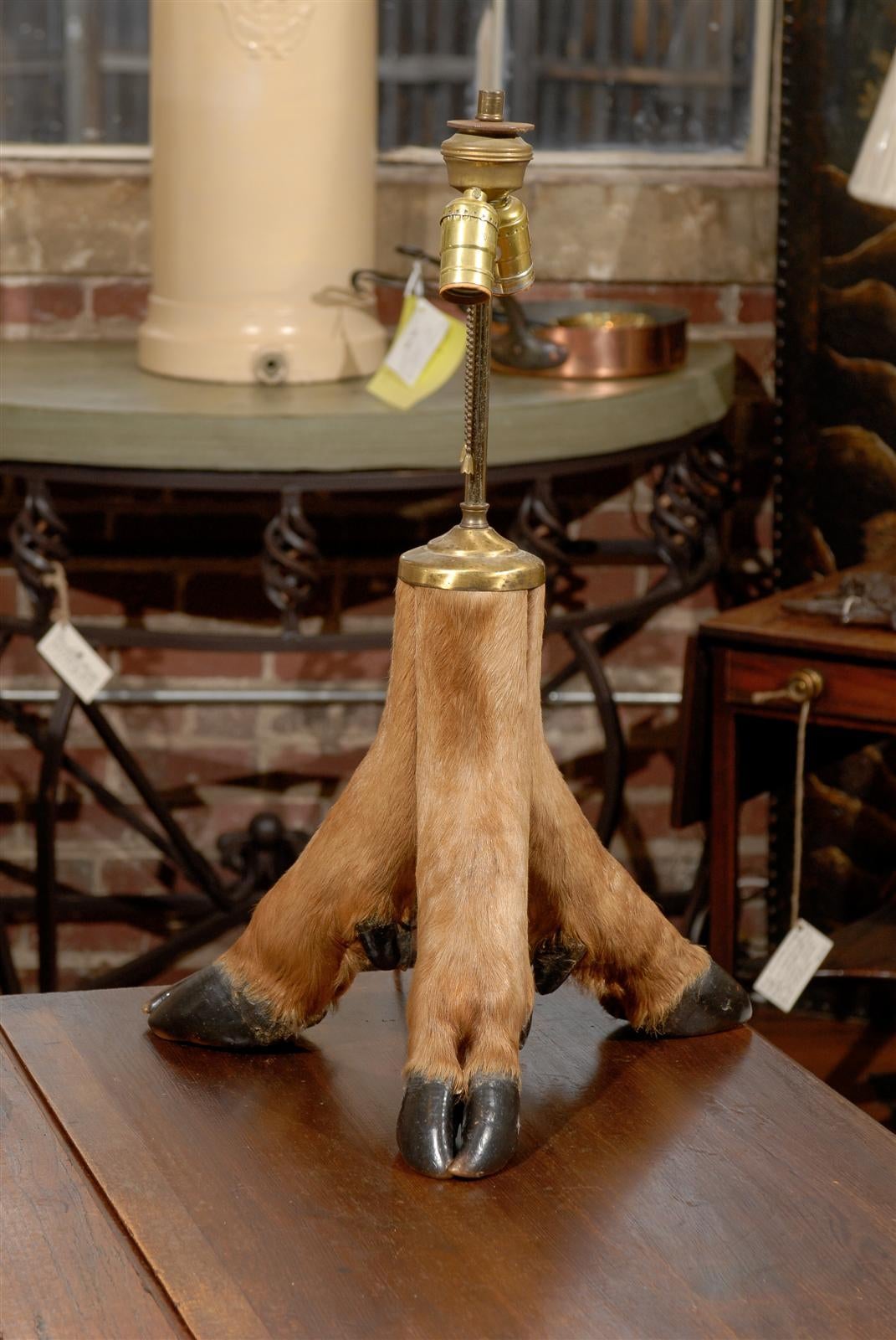 Elk Hoof Table Lamp at 1stDibs