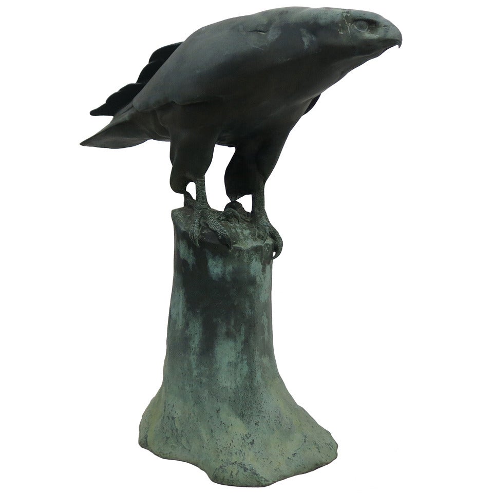 Life Size Bronze Hawk at 1stDibs