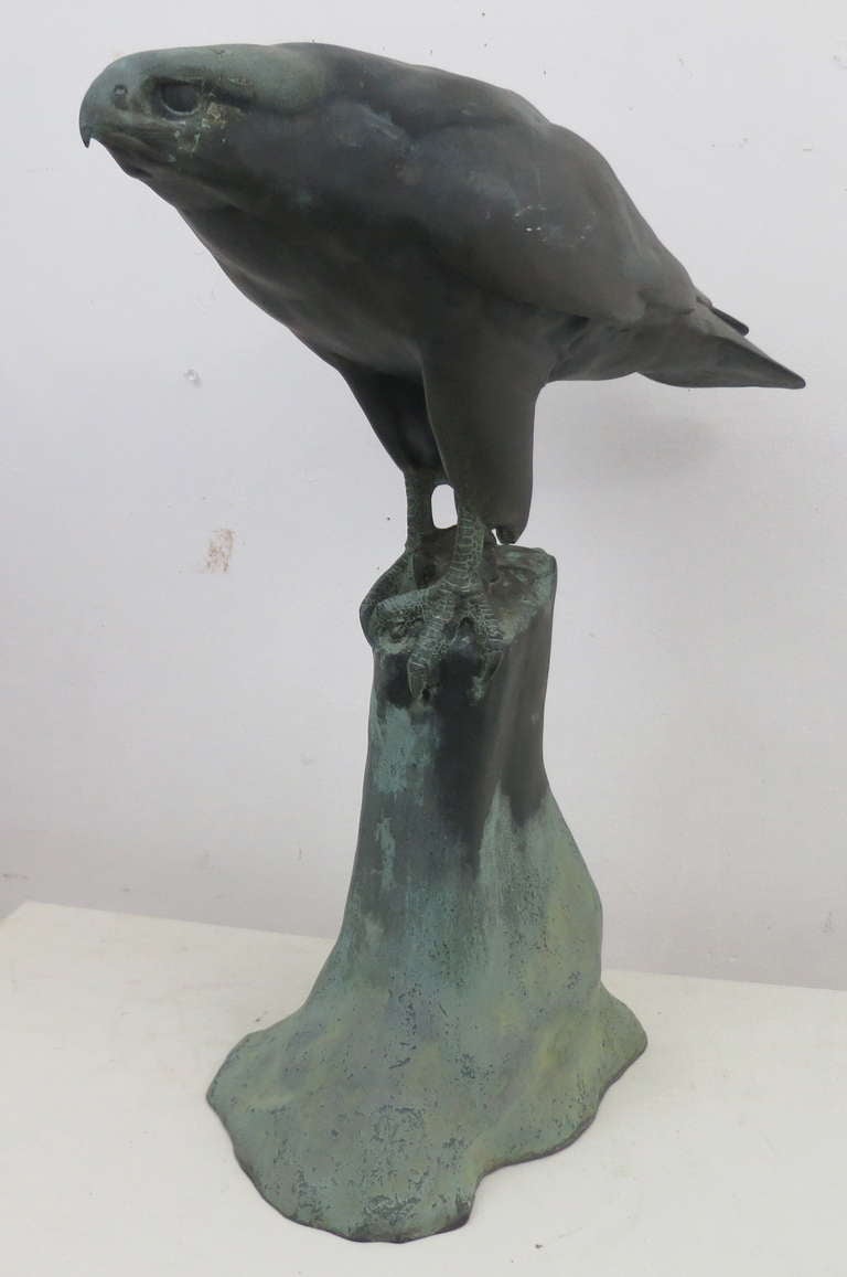 Life Size Bronze Hawk at 1stDibs