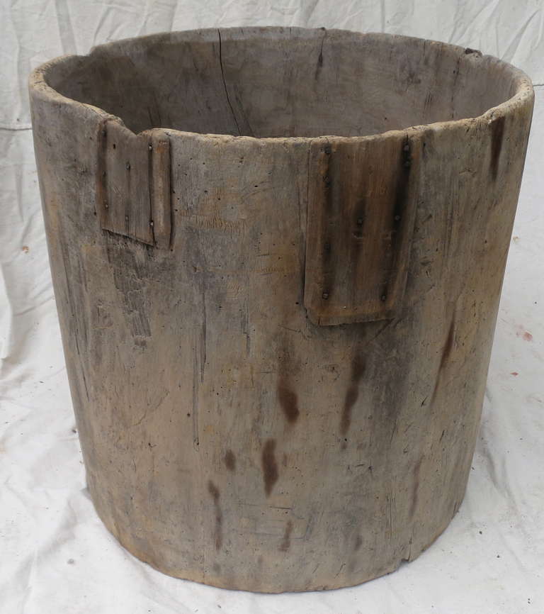 Gigantic Early Grain Storage Tree Trunk at 1stDibs