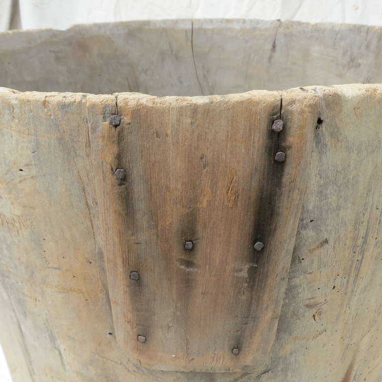 Gigantic Early Grain Storage Tree Trunk at 1stDibs