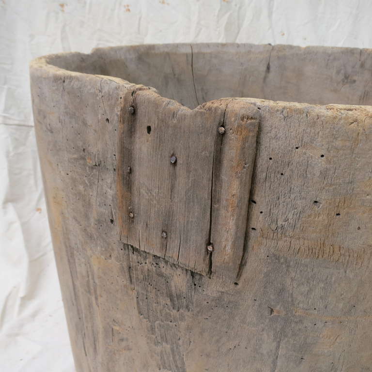 Gigantic Early Grain Storage Tree Trunk at 1stDibs