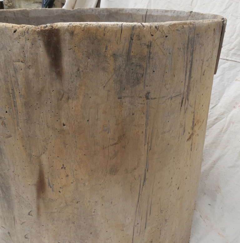 Gigantic Early Grain Storage Tree Trunk at 1stDibs