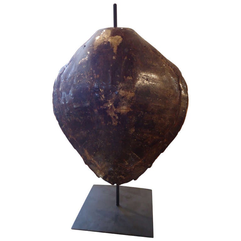Impressive Tortoise Shell on Custom Stand at 1stDibs