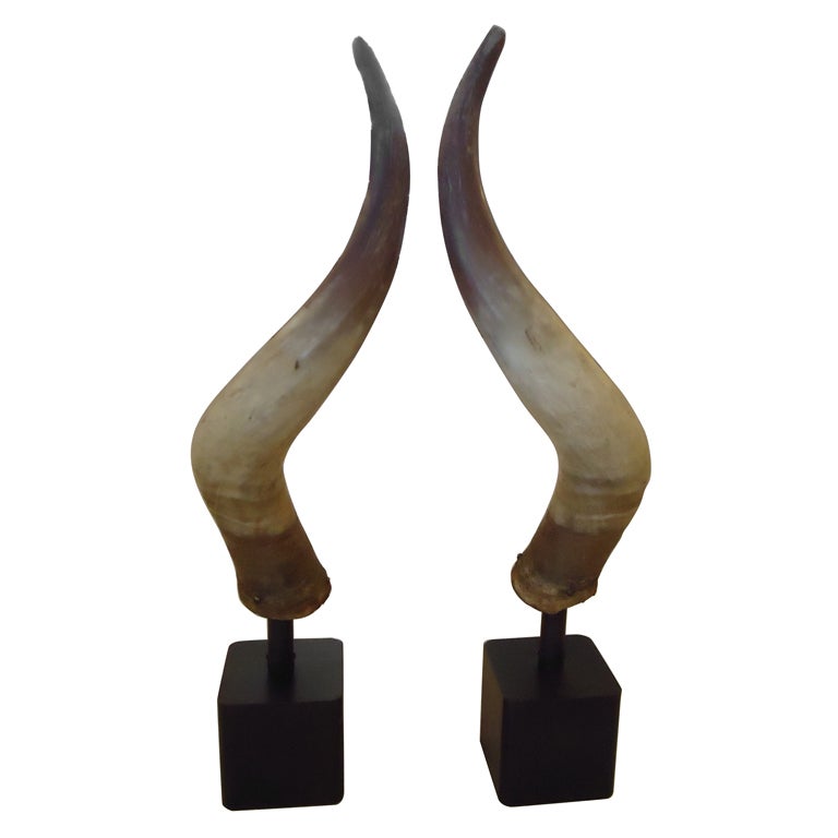 Pair of Handsome Horns on Custom Iron Cubes at 1stDibs