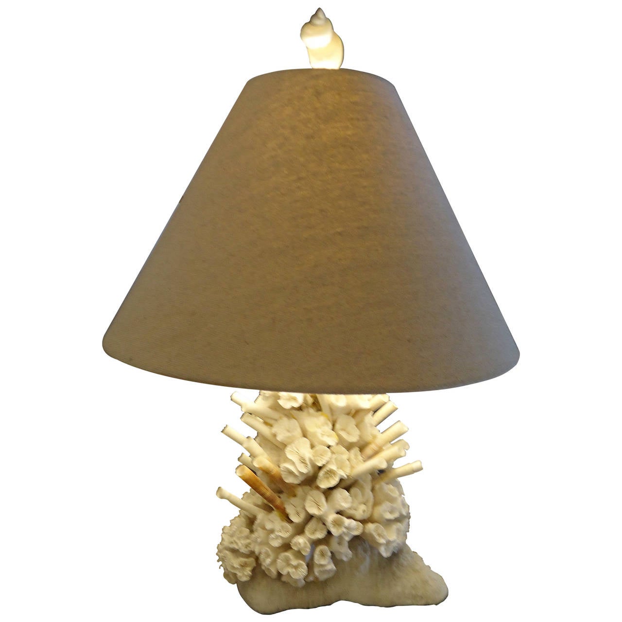 Strikingly Beautiful Coral Lamp at 1stDibs