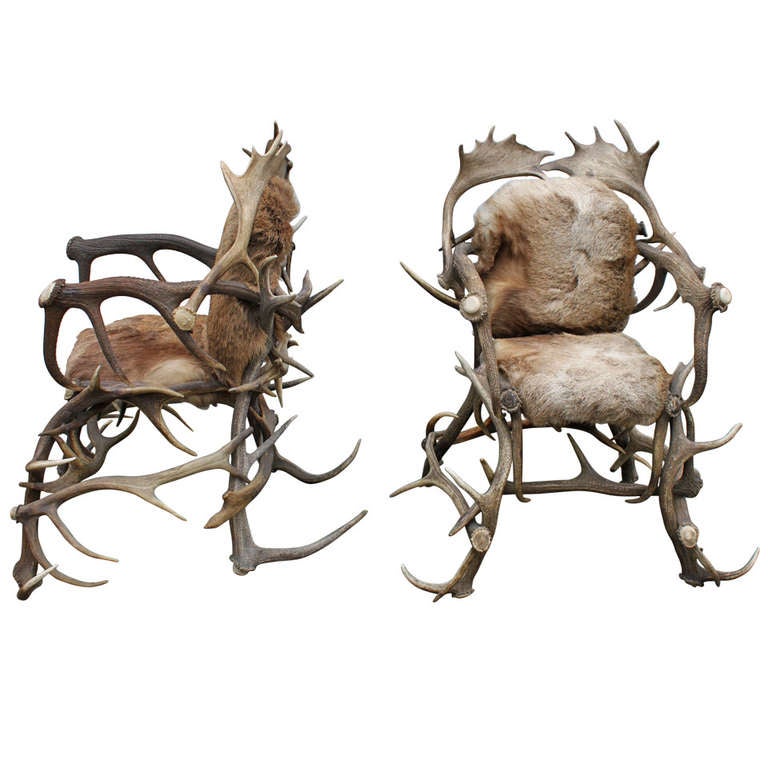19th Century Antler Chairs For Sale at 1stDibs