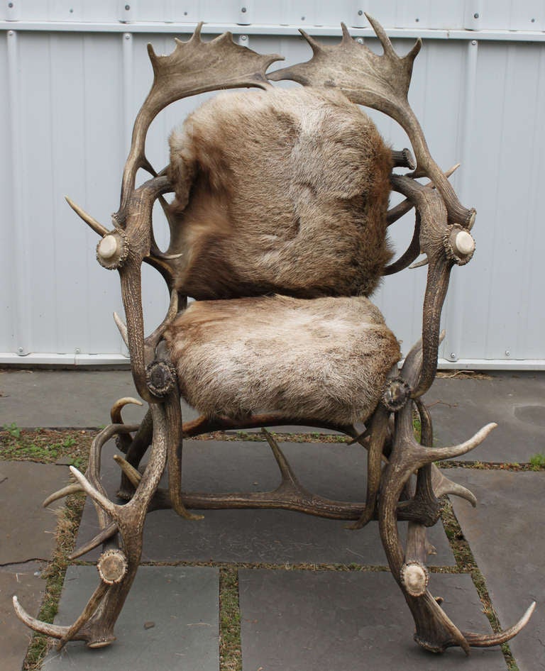 19th Century Antler Chairs For Sale at 1stDibs