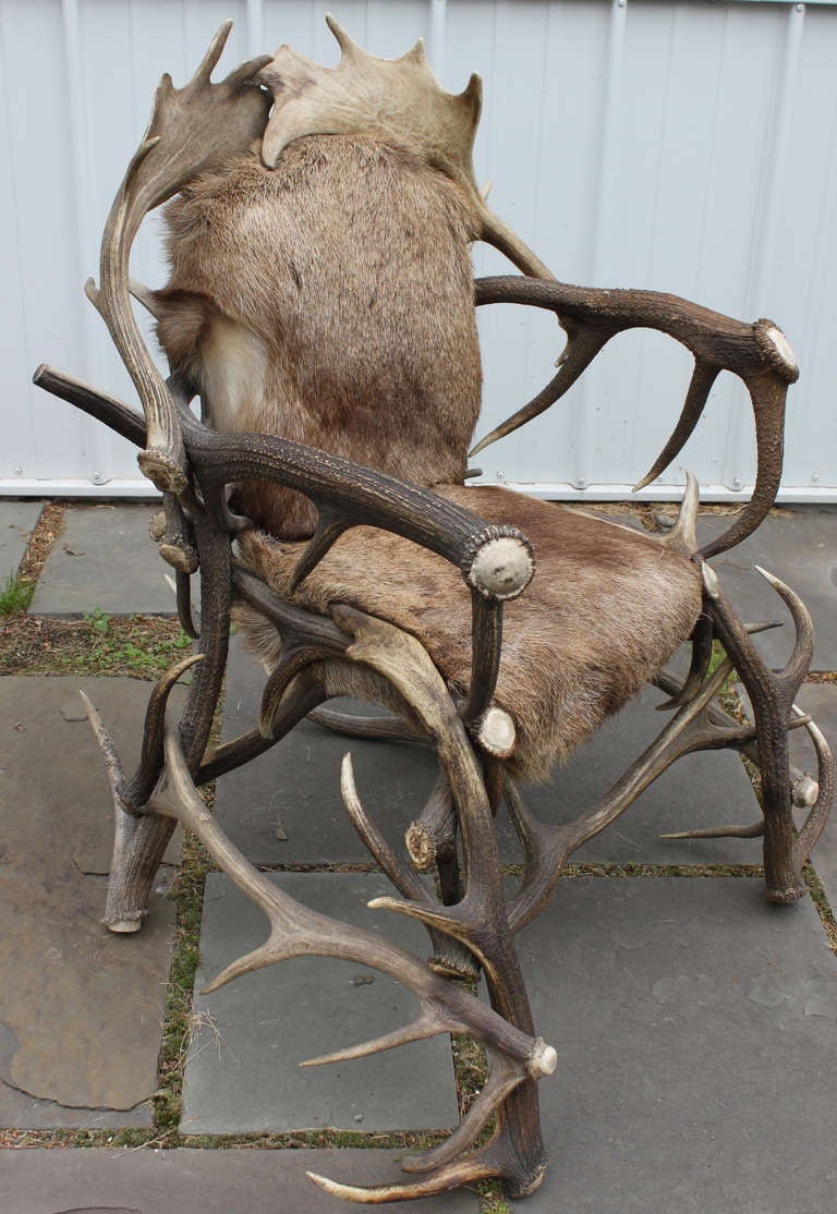 19th Century Antler Chairs For Sale at 1stDibs