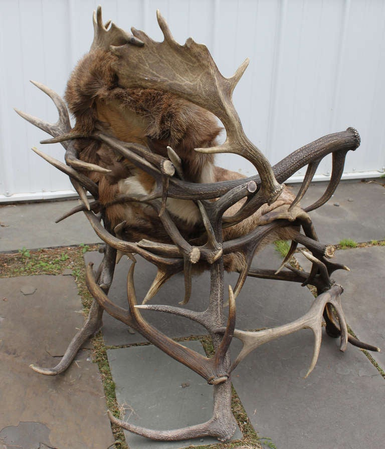 19th Century Antler Chairs For Sale at 1stDibs
