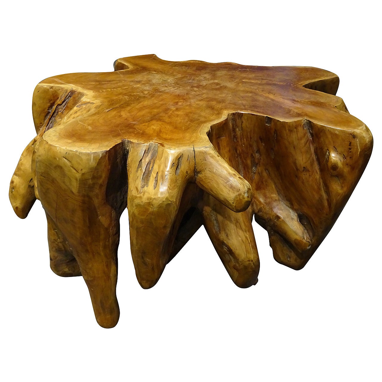 Organic Form Root Coffee Table at 1stDibs
