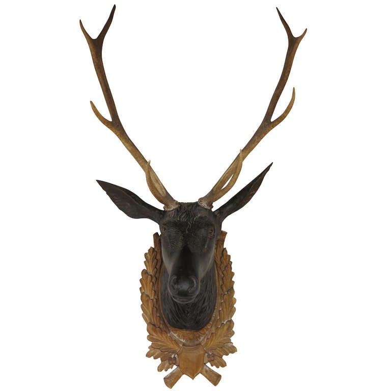 Large Black Forest Carved Stag Head at 1stDibs