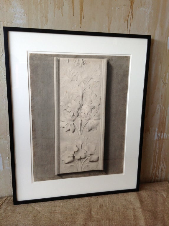 Morando Morandi Charcoal Drawing of Panel with Leaves at 1stDibs