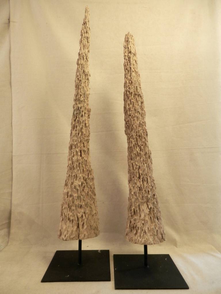 Pair Of Unique Petrified Wood Sculptures On Custom Display Stands at ...