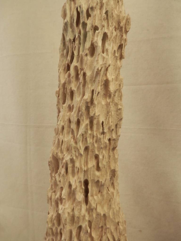 Pair Of Unique Petrified Wood Sculptures On Custom Display Stands at ...