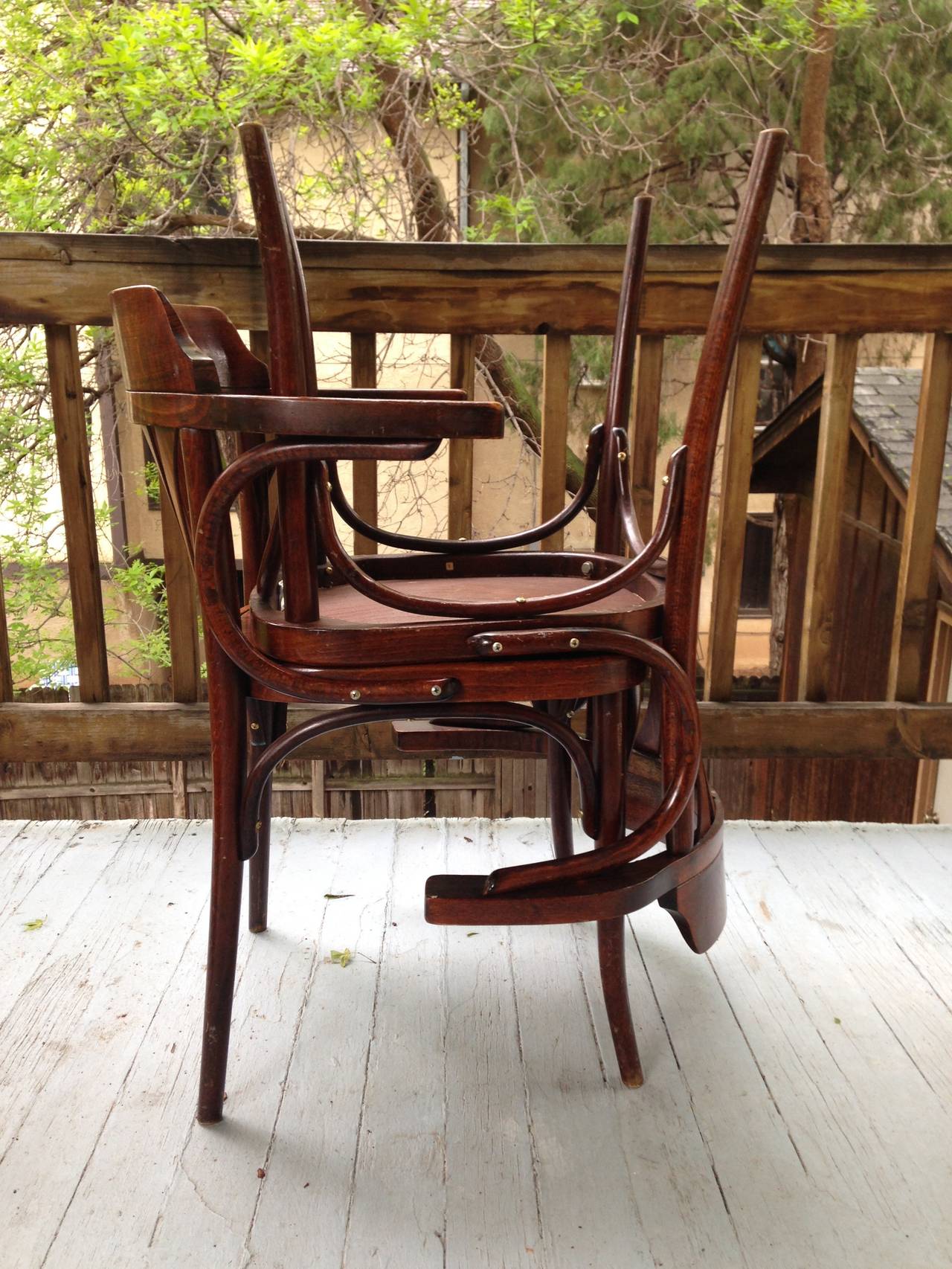 Pair of Thonet, Vienna-style Bentwood Dining Chairs ( 12 chairs ...