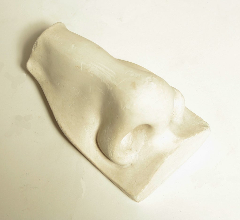 Early 20th C. Plaster of David's Nose by Florentine Art Plaster at 1stDibs