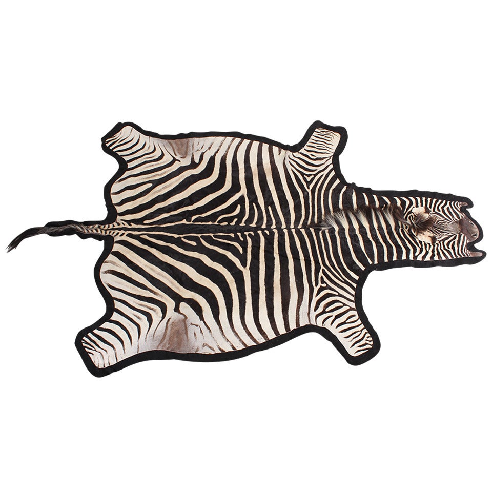 Large Burchell Zebra Skin Rug at 1stDibs