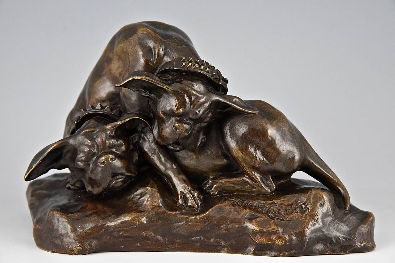Bronze Bulldog sculpture by Thomas Cartier France 1900 at 1stDibs | t ...