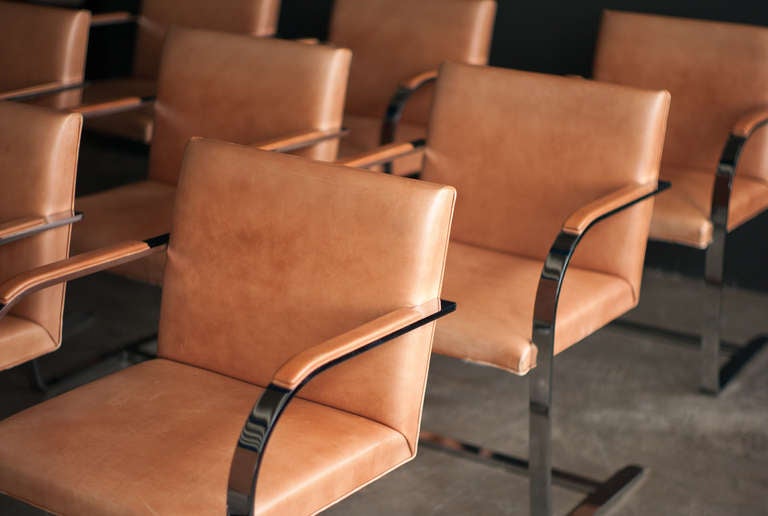 Set of 12 Knoll Brno chairs in original vintage Spinneybeck Saddle ...