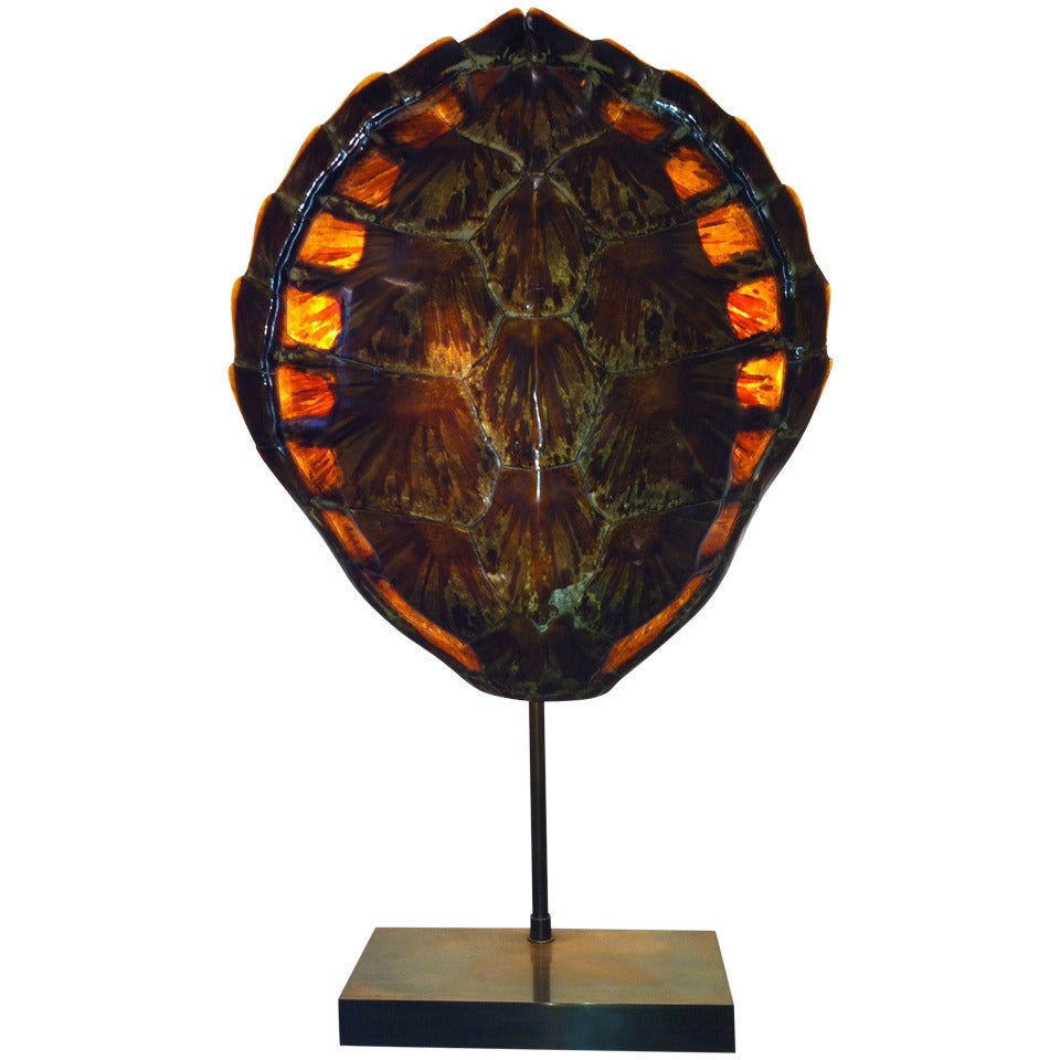 Tortoise -Shell Table lamp, 60's Belgian For Sale at 1stDibs
